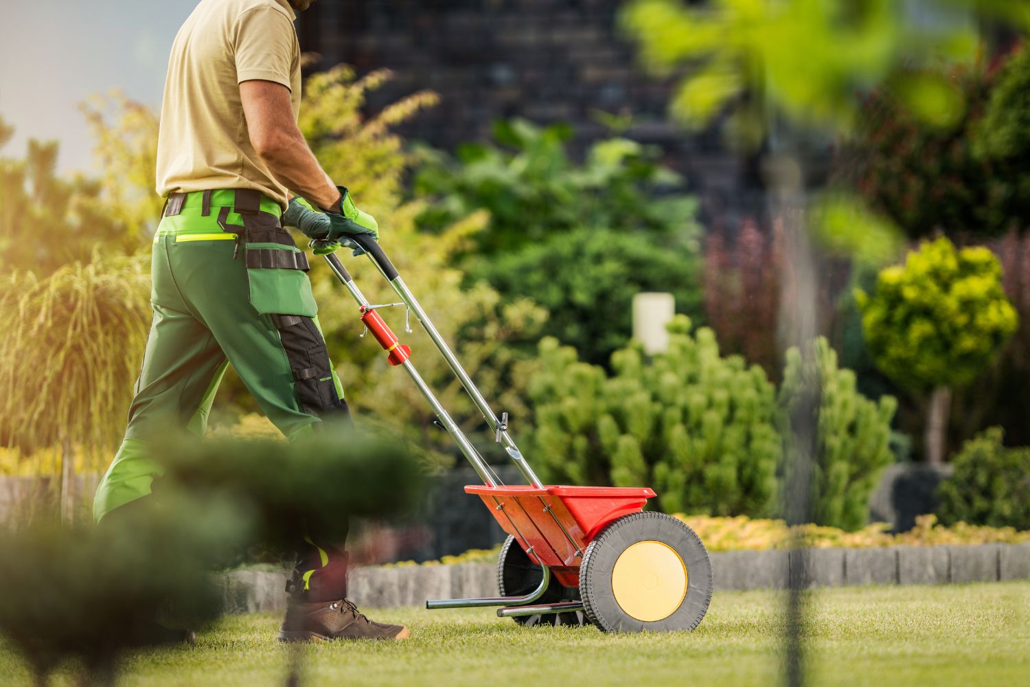 Traitements de pelouse écologiques- Traitement du coin